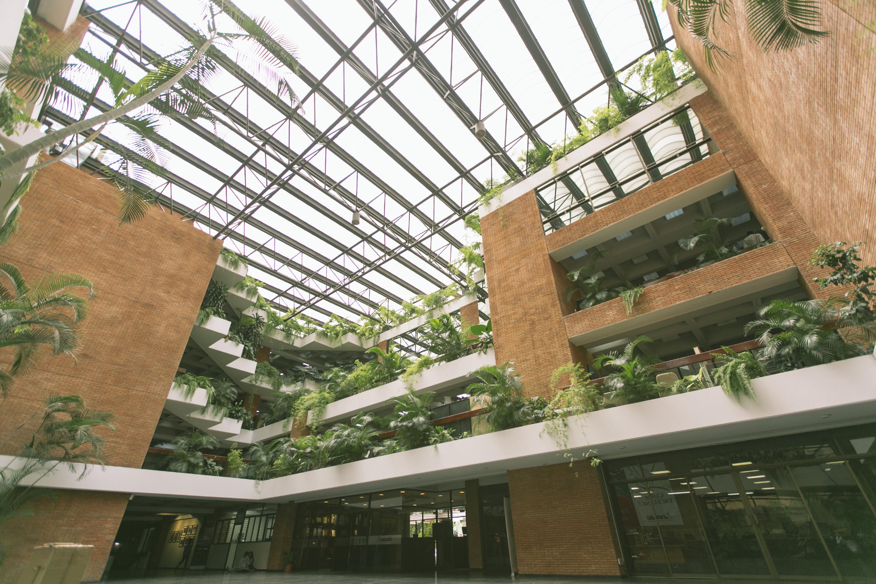 Asociación Nacional del Café